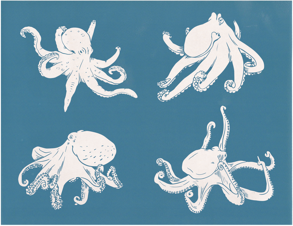 DIY Designer Silk Screen Printing Stencil Realistic Octopus Pack ...