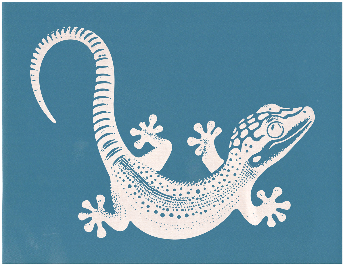 Fast & Easy DIY Screen Printing, Ready To Use Silk Screen Stencils ...