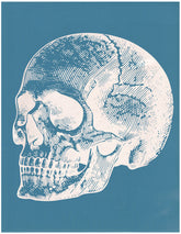 Polymer Clay Silk Screen Printing Stencil, Lithograph Skull – EZScreenPrint